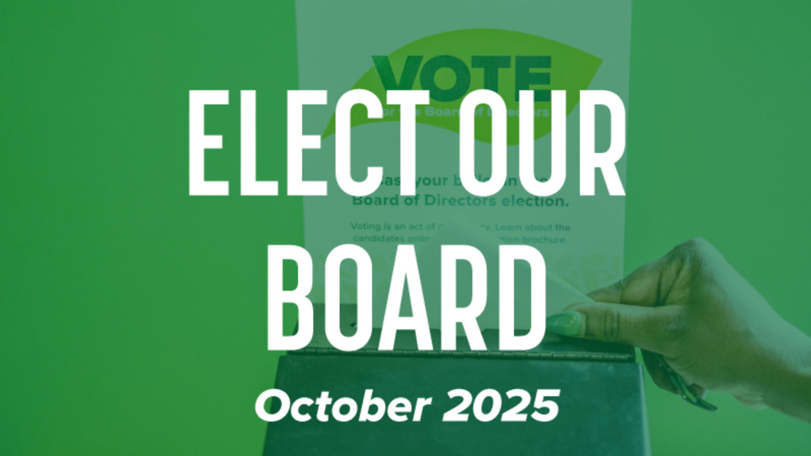 Board of Directors - Seward Community Co-op