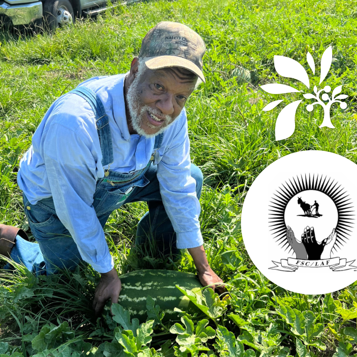 Cooperation Works: Growing Food Systems We Want - Seward Community Co-op