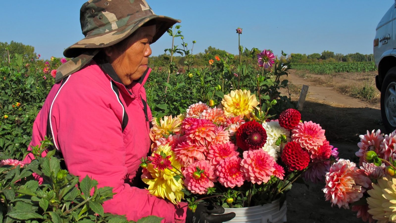CSA Fair Flowers - Seward Community Co-op