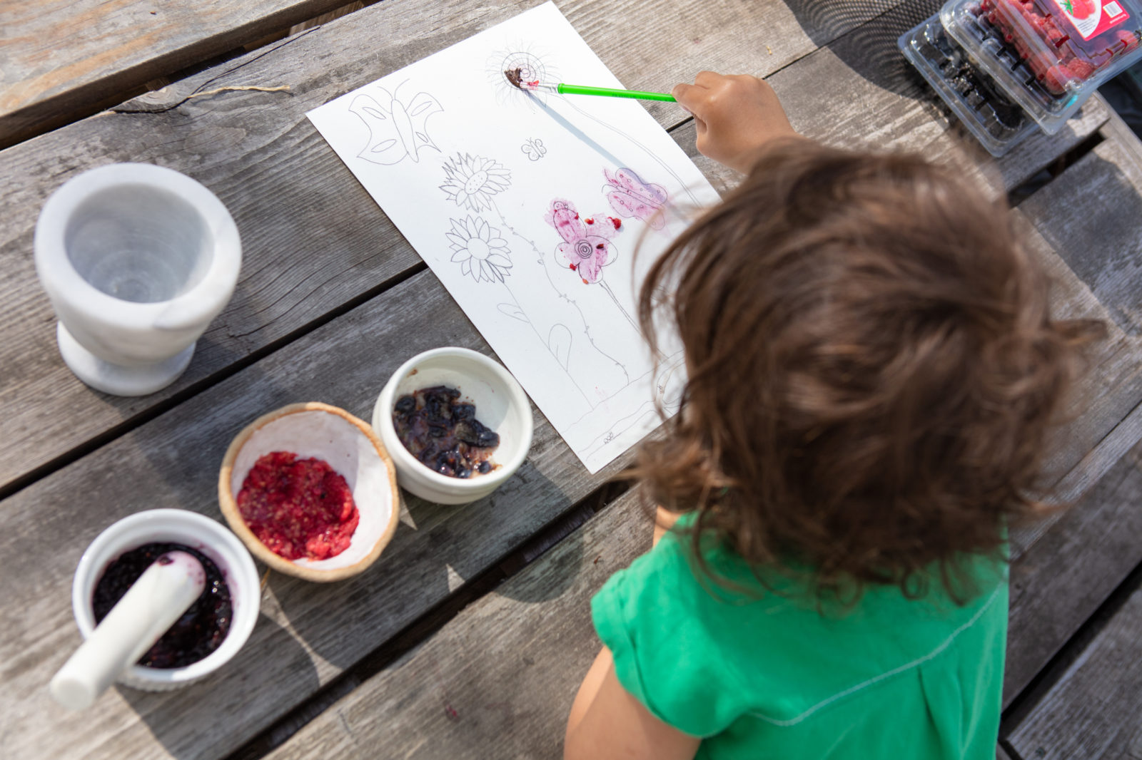 Painting with Berries - Seward Community Co-op