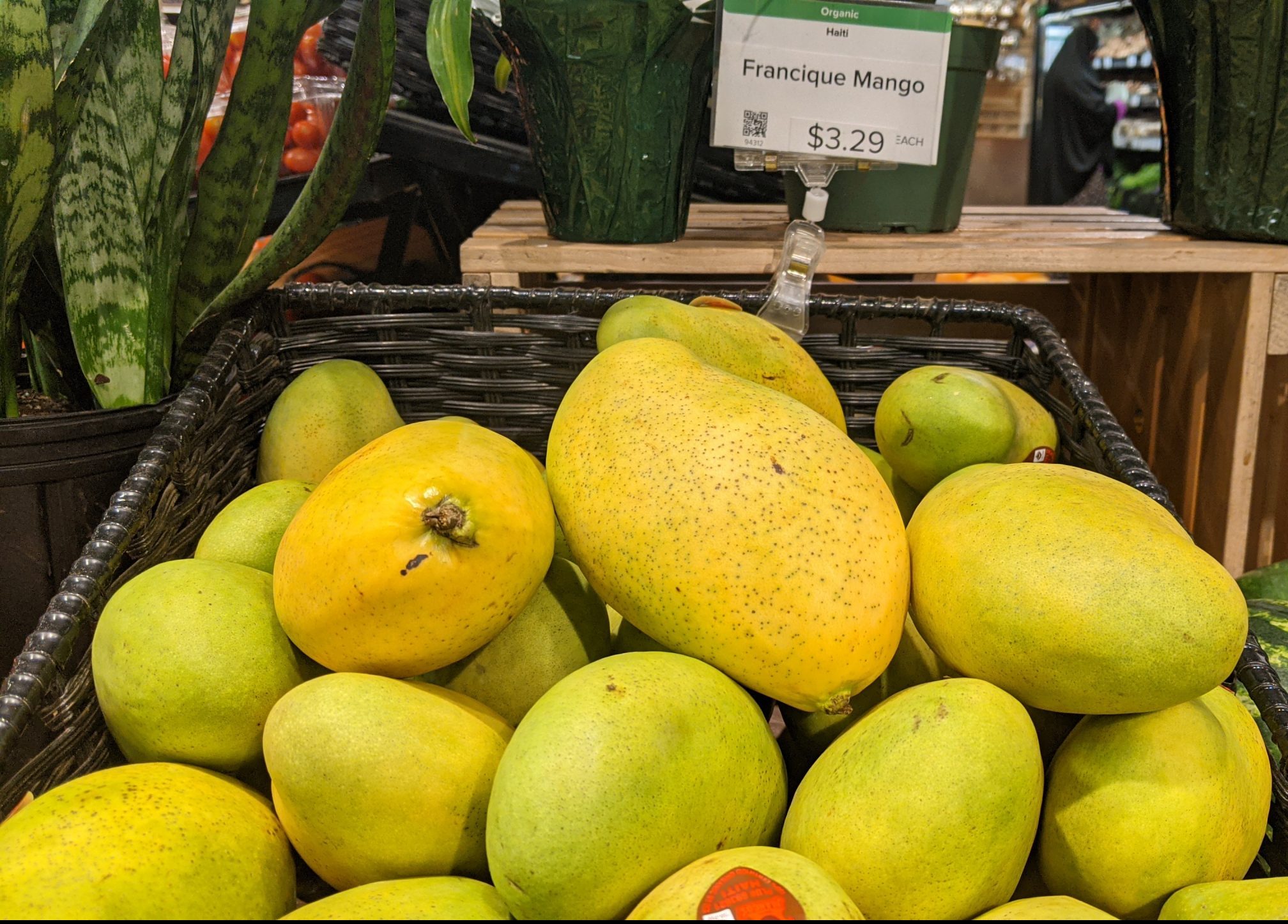 Mango 101 with the Haitian Francique Mango - Seward Community Co-op