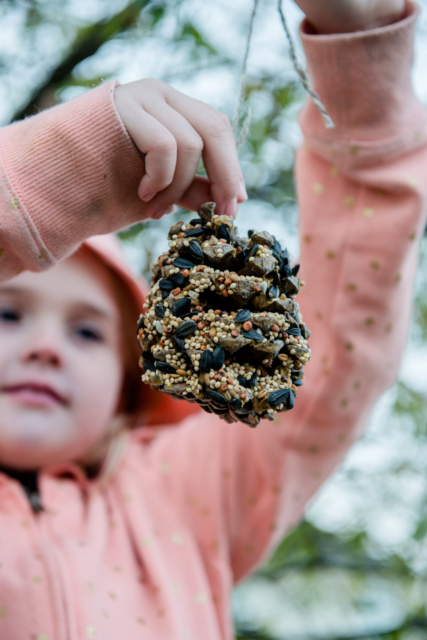 Pinecone Bird Feeders from Bulk - Seward Community Co-op